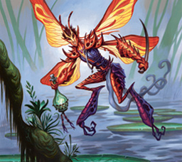 "Fairies" constructed from various insect parts. Beautiful! : r/Entomology